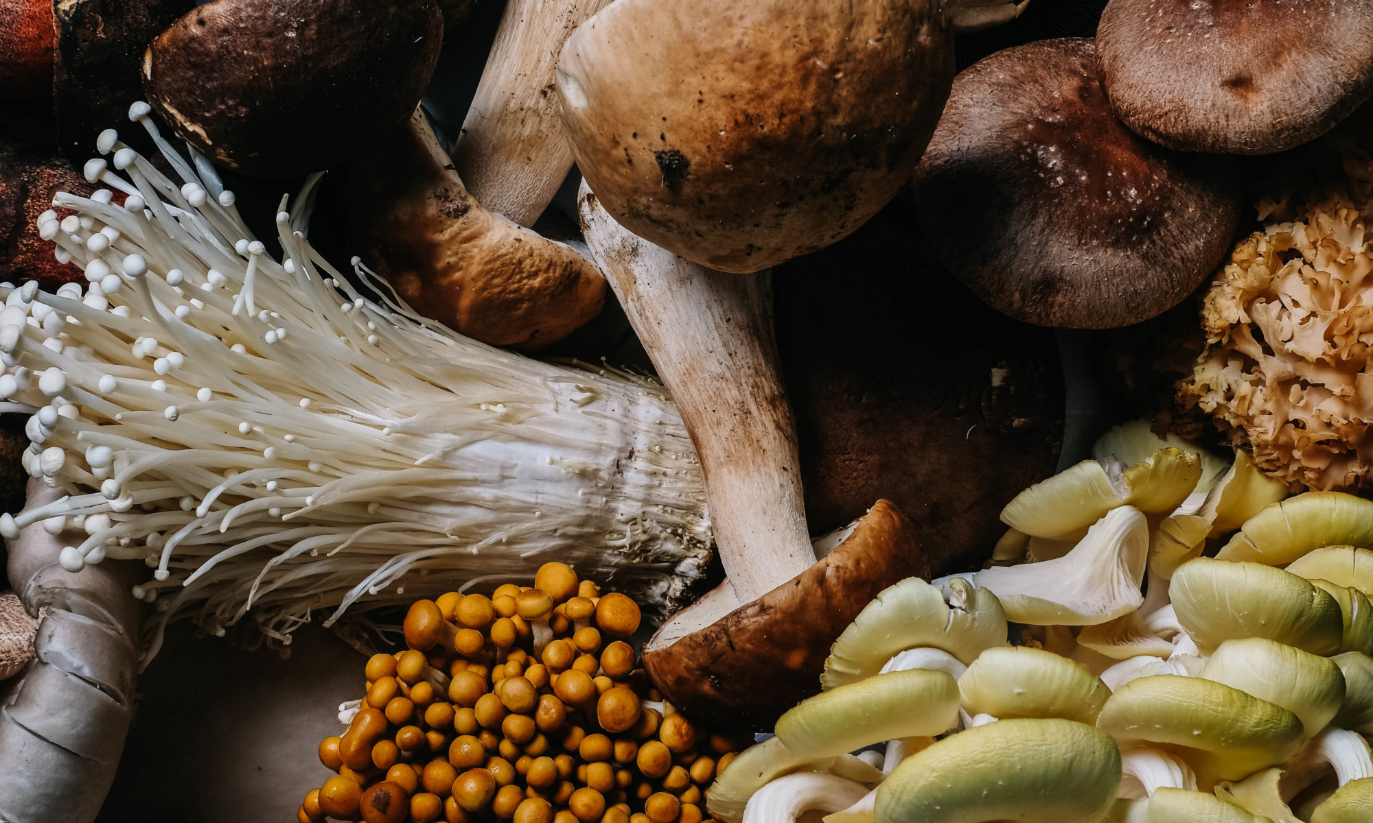 Kitchen Guerilla | Stories Archive