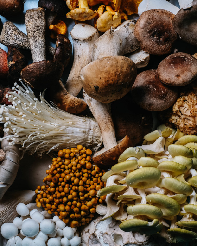 Kitchen Guerilla | Alles Funghi